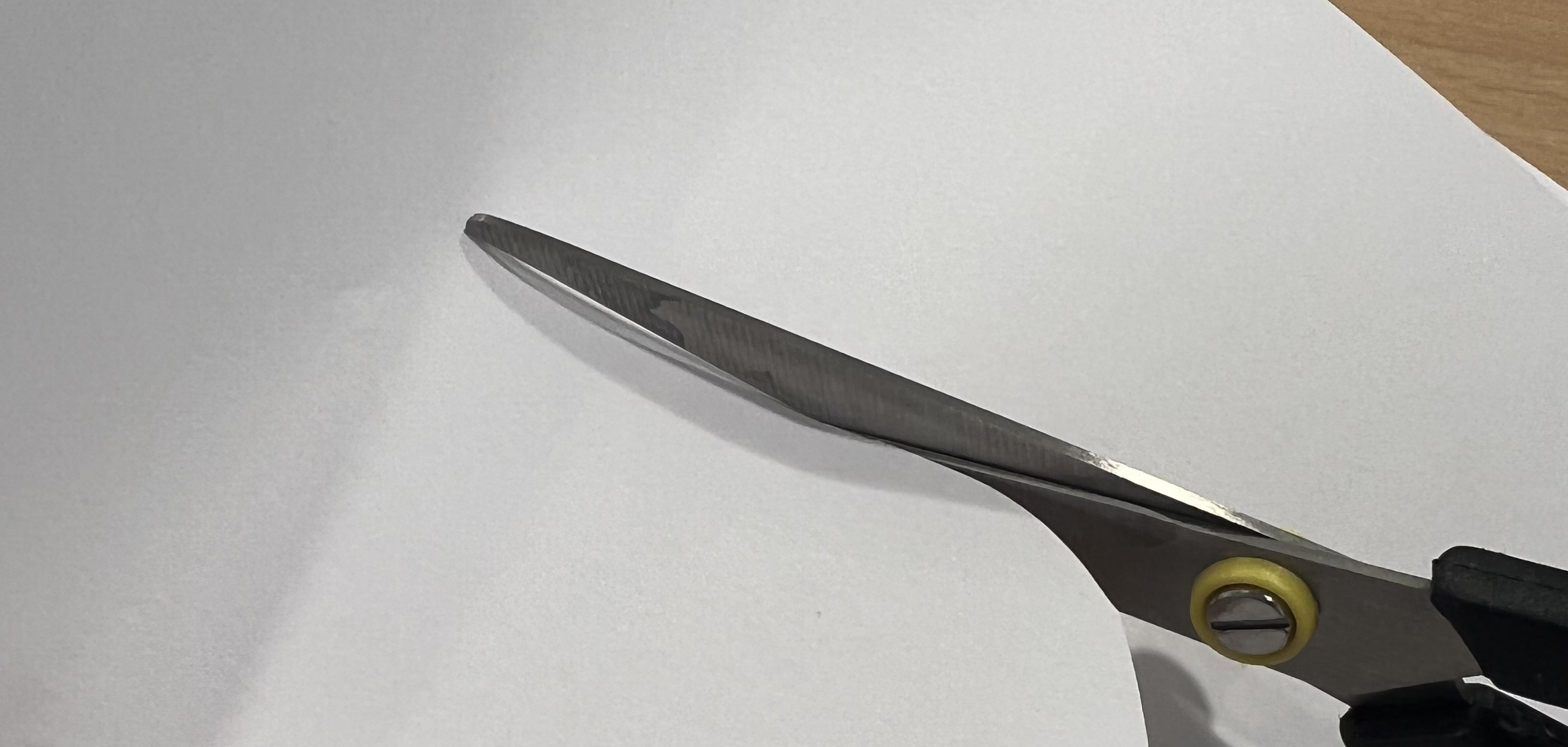 Maria’s journey – Maria Larsen art